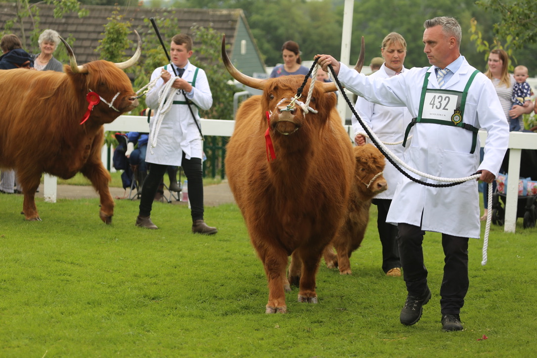 Fern and Ted at The Penistone Show | Cannon Hall Farm