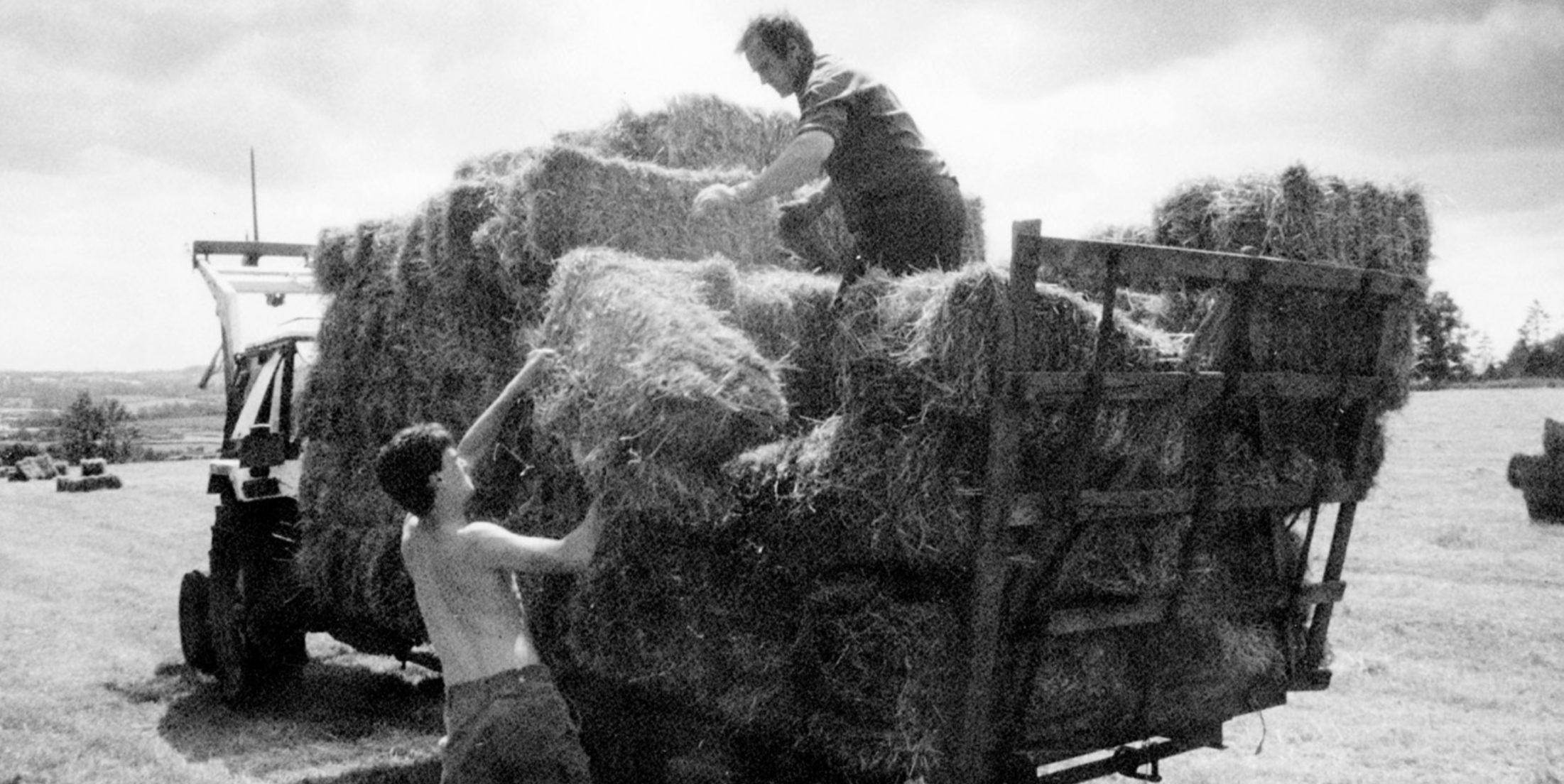 30 year anniversary | Cannon Hall Farm