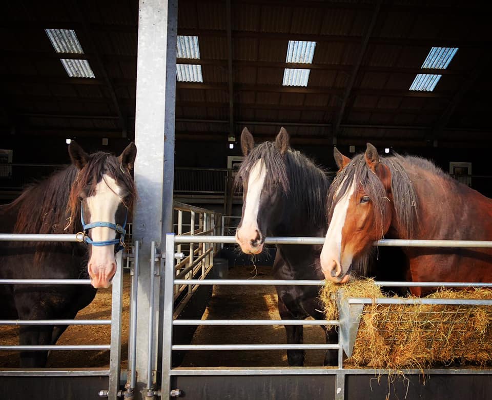 Farm admission for £5.95 | Cannon Hall Farm