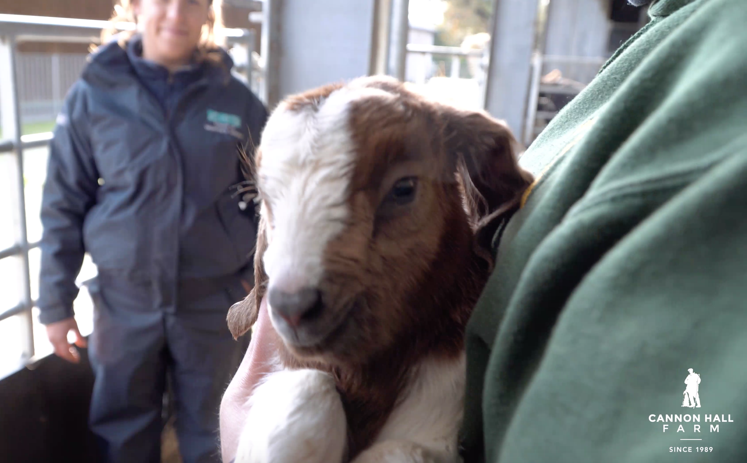 Our Poorly Boer Goats | Cannon Hall Farm