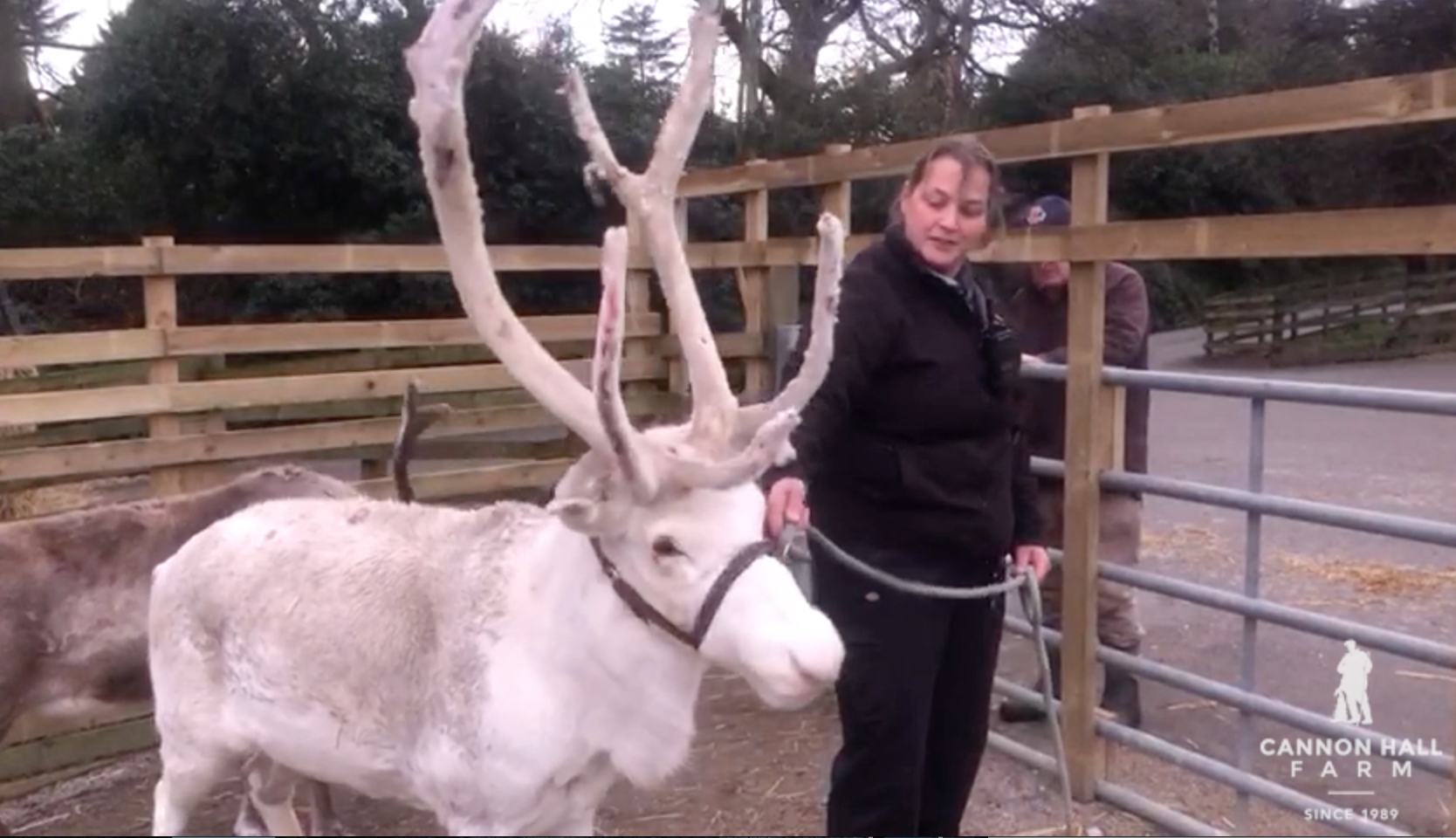 Prince’s Poorly Eye | Cannon Hall Farm