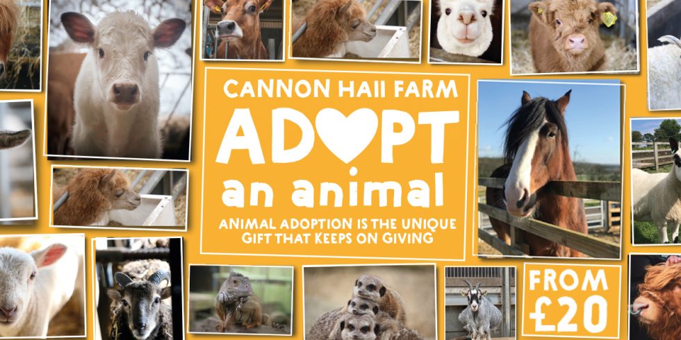 Cannon Hall Farm | The Perfect Family Day Out in Yorkshire