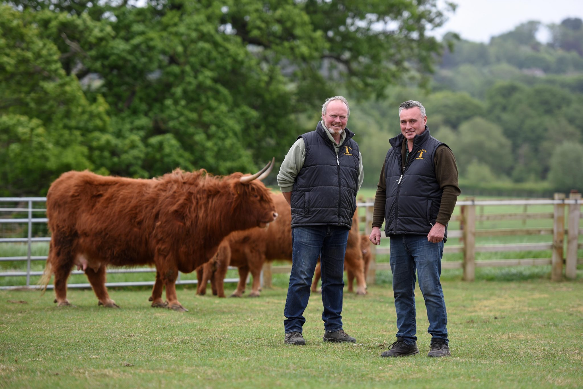 Lockdown Lift Award Winners | Cannon Hall Farm