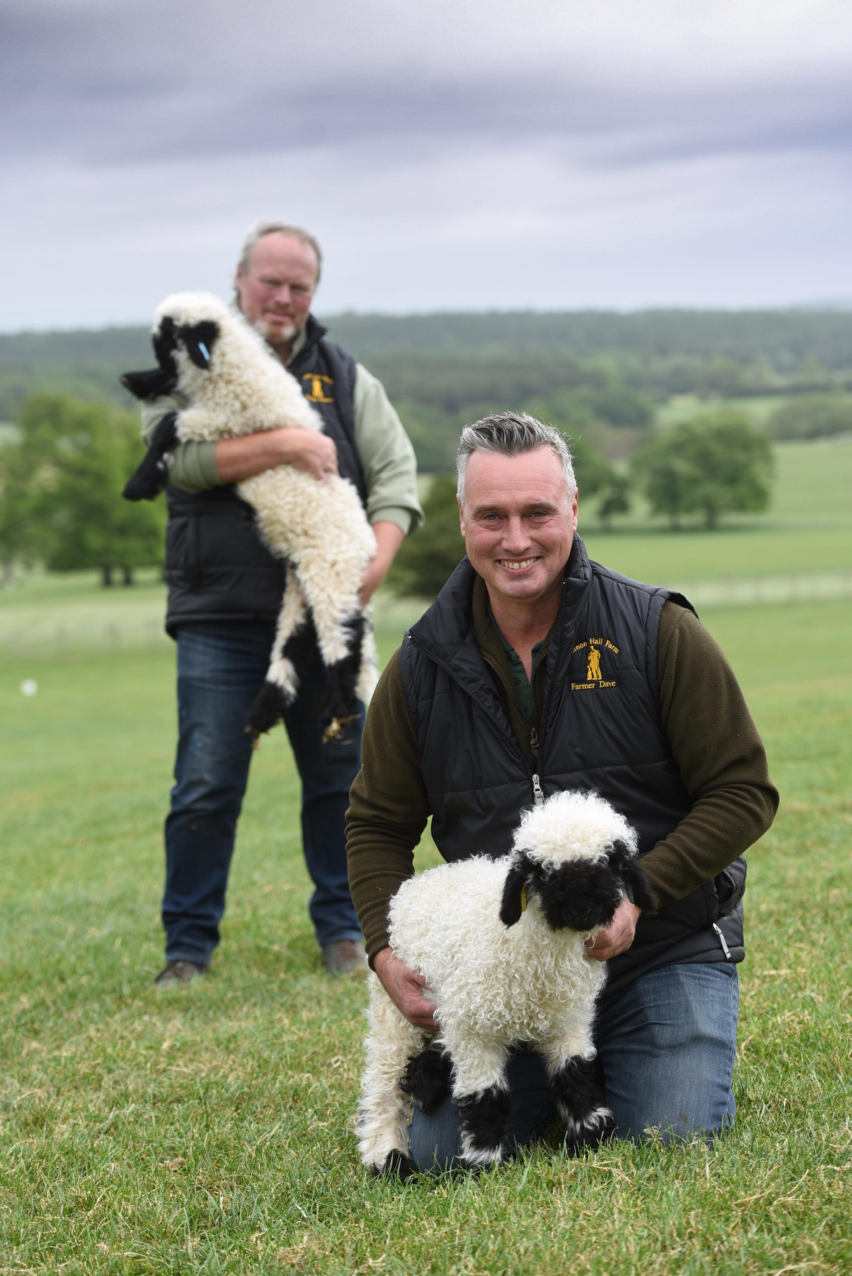 Lockdown Lift Award Winners | Cannon Hall Farm