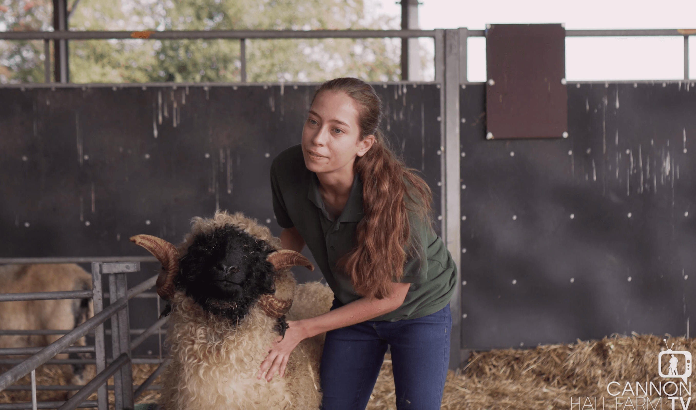 Grizzly Bear + Farmer Kate | Cannon Hall Farm
