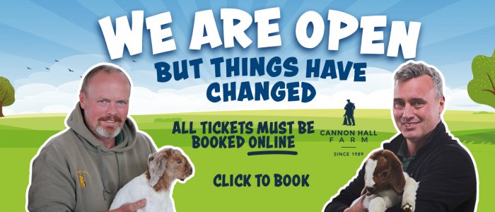 Cannon Hall Farm | The Perfect Family Day Out in Yorkshire