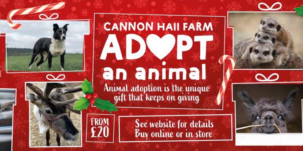 Cannon Hall Farm | The Perfect Family Day Out in Yorkshire
