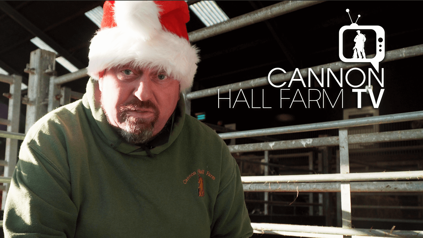 A new arrival | Cannon Hall Farm