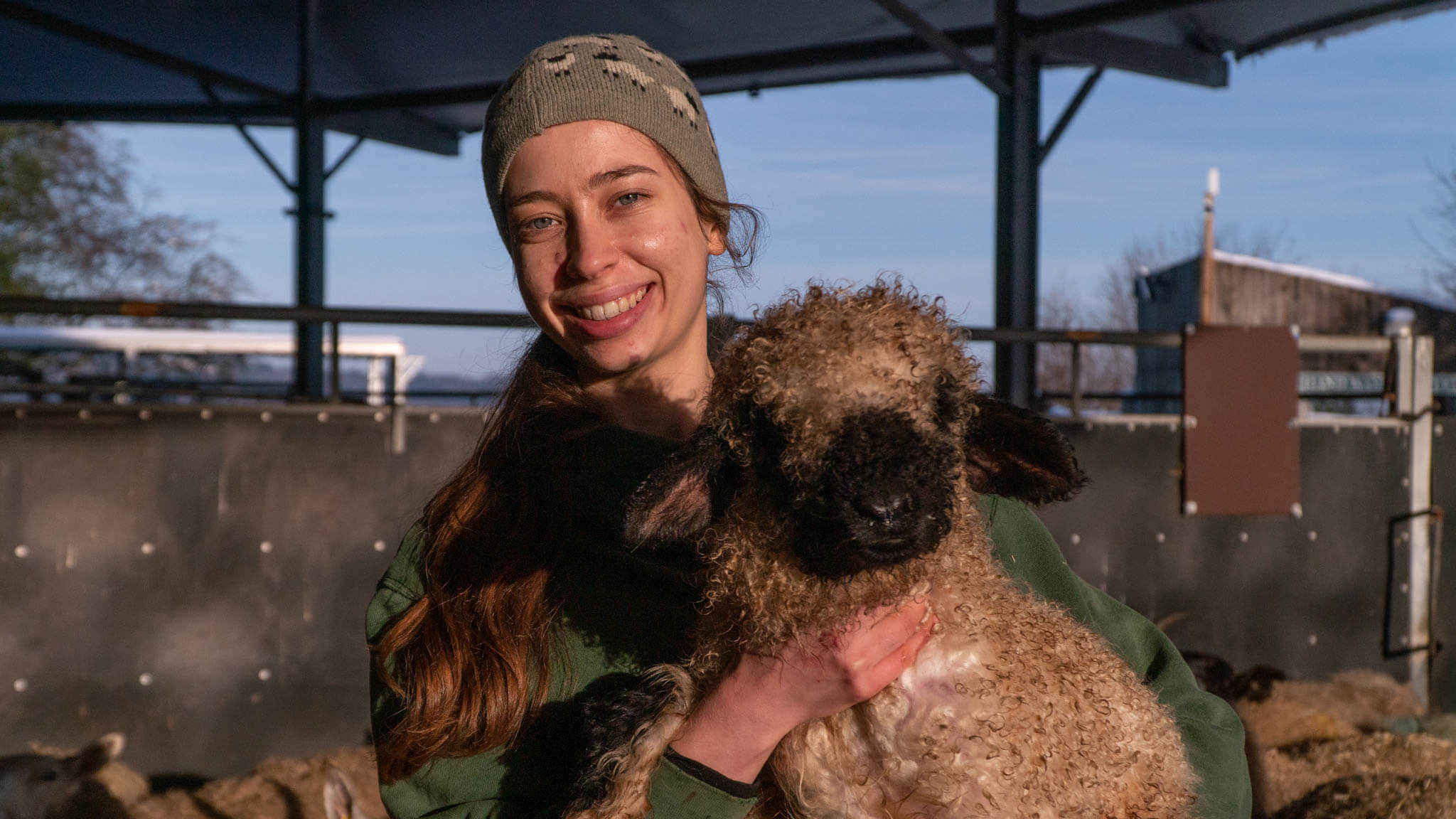 Things are looking up for our little lamb. | Cannon Hall Farm