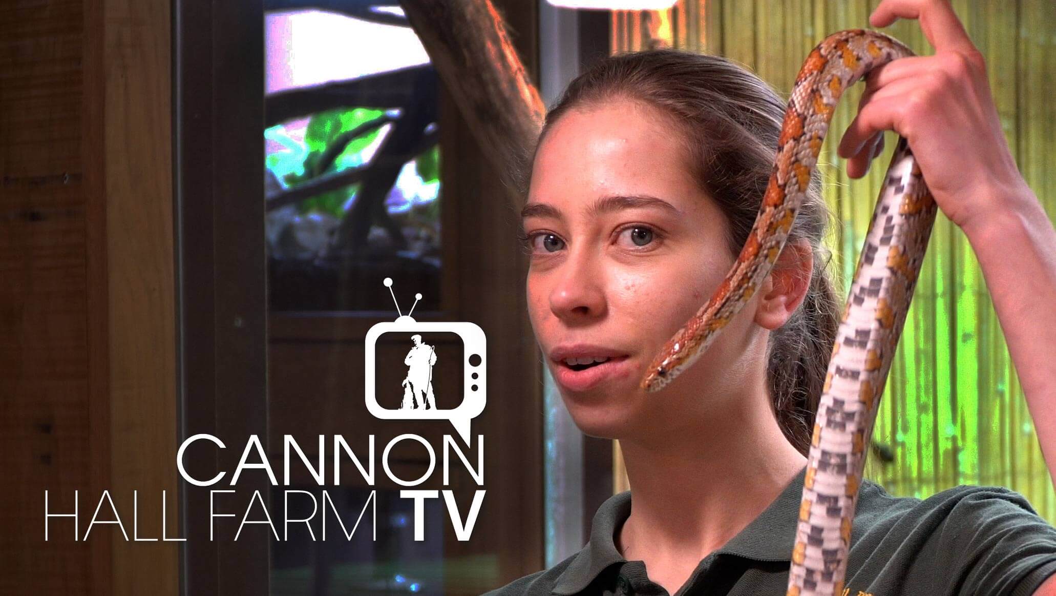 Farmer Kate and our snakes | Cannon Hall Farm