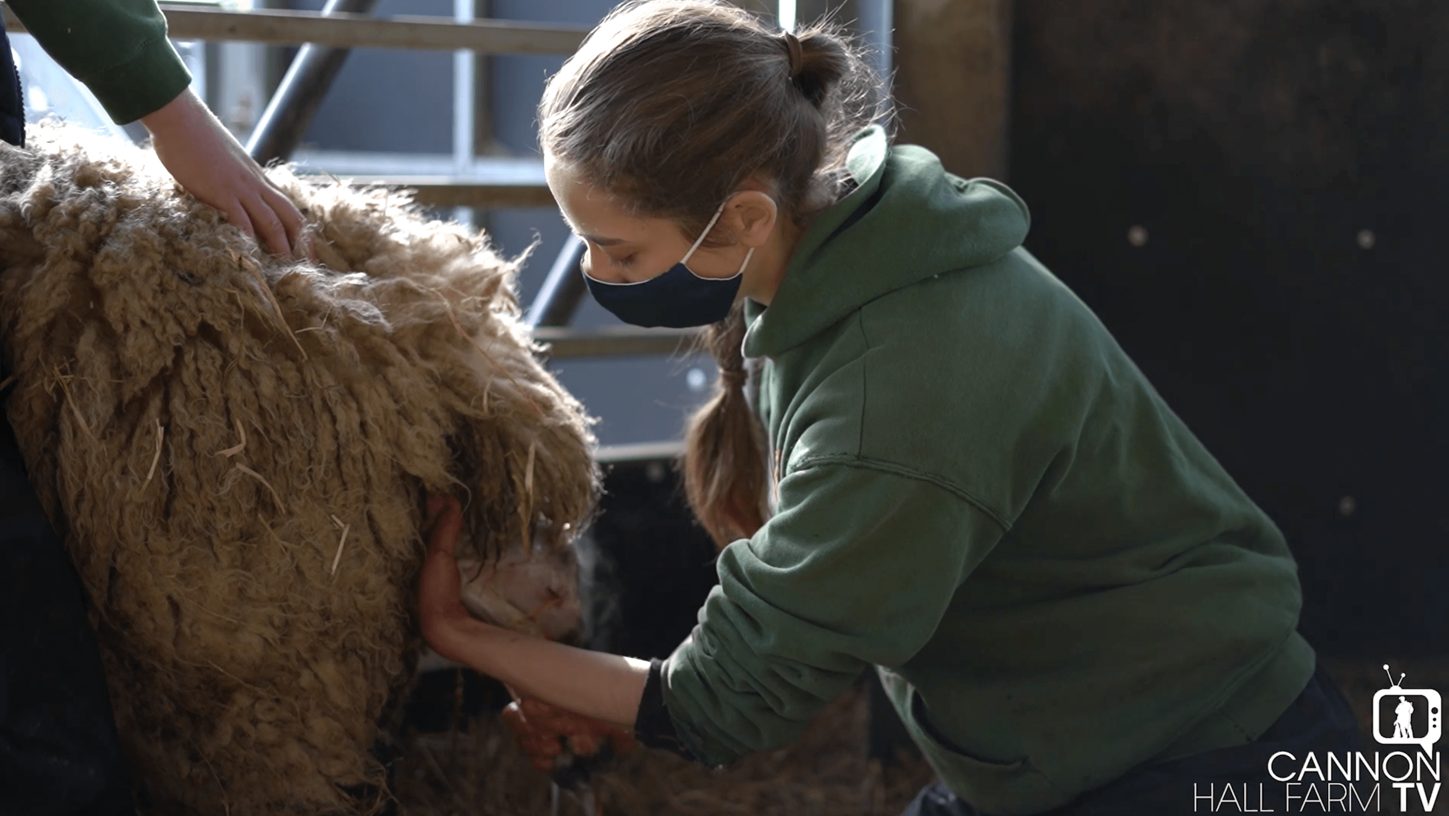 Farmer Kate’s Live Lambing | Cannon Hall Farm