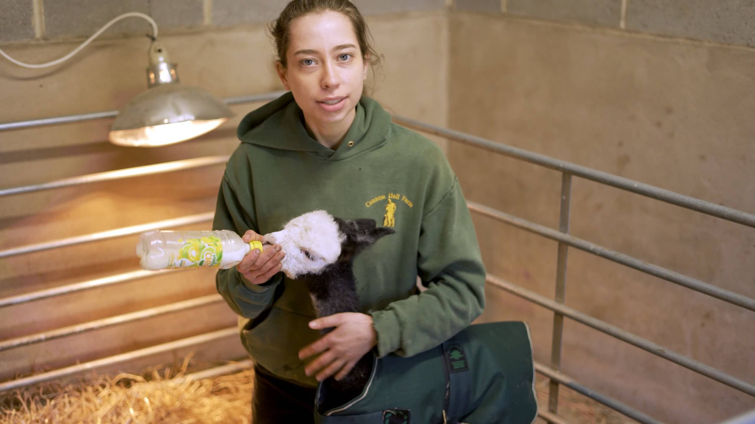 Farmer Kate’s on bottle duty | Cannon Hall Farm