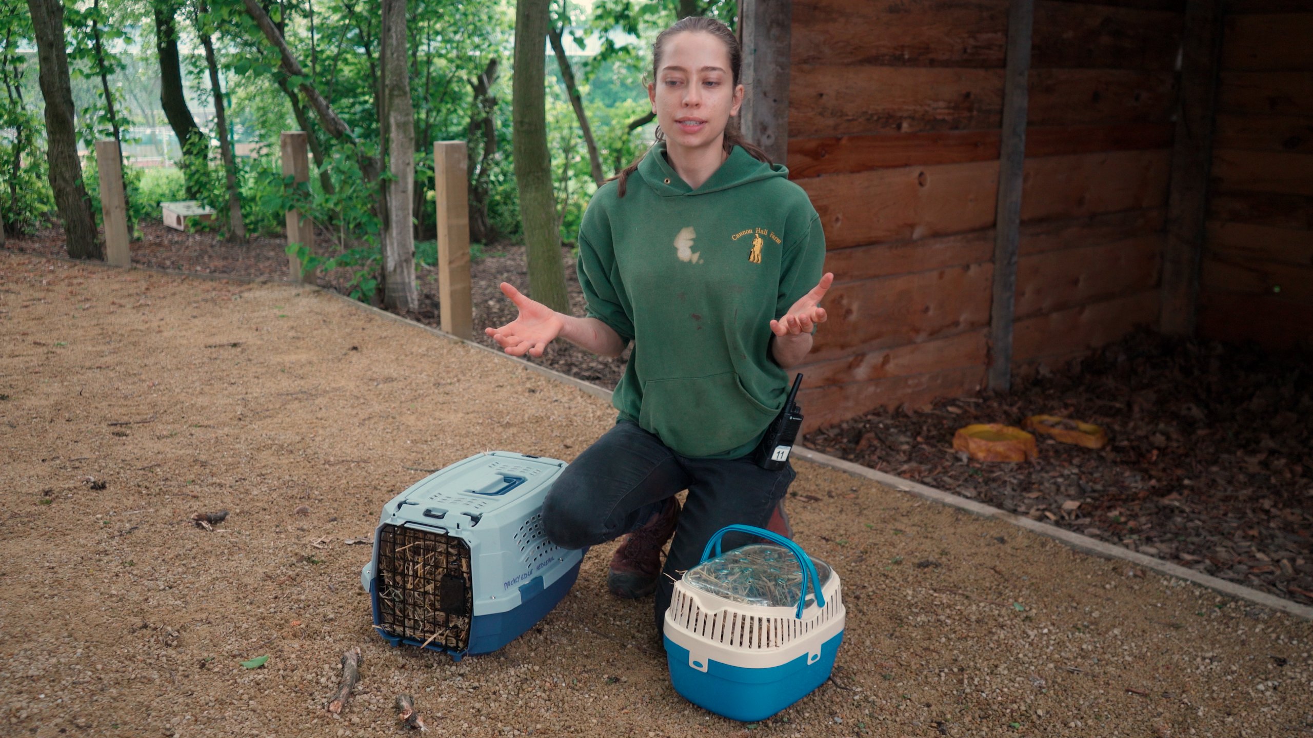 Welcome Tilly and Nancy | Cannon Hall Farm