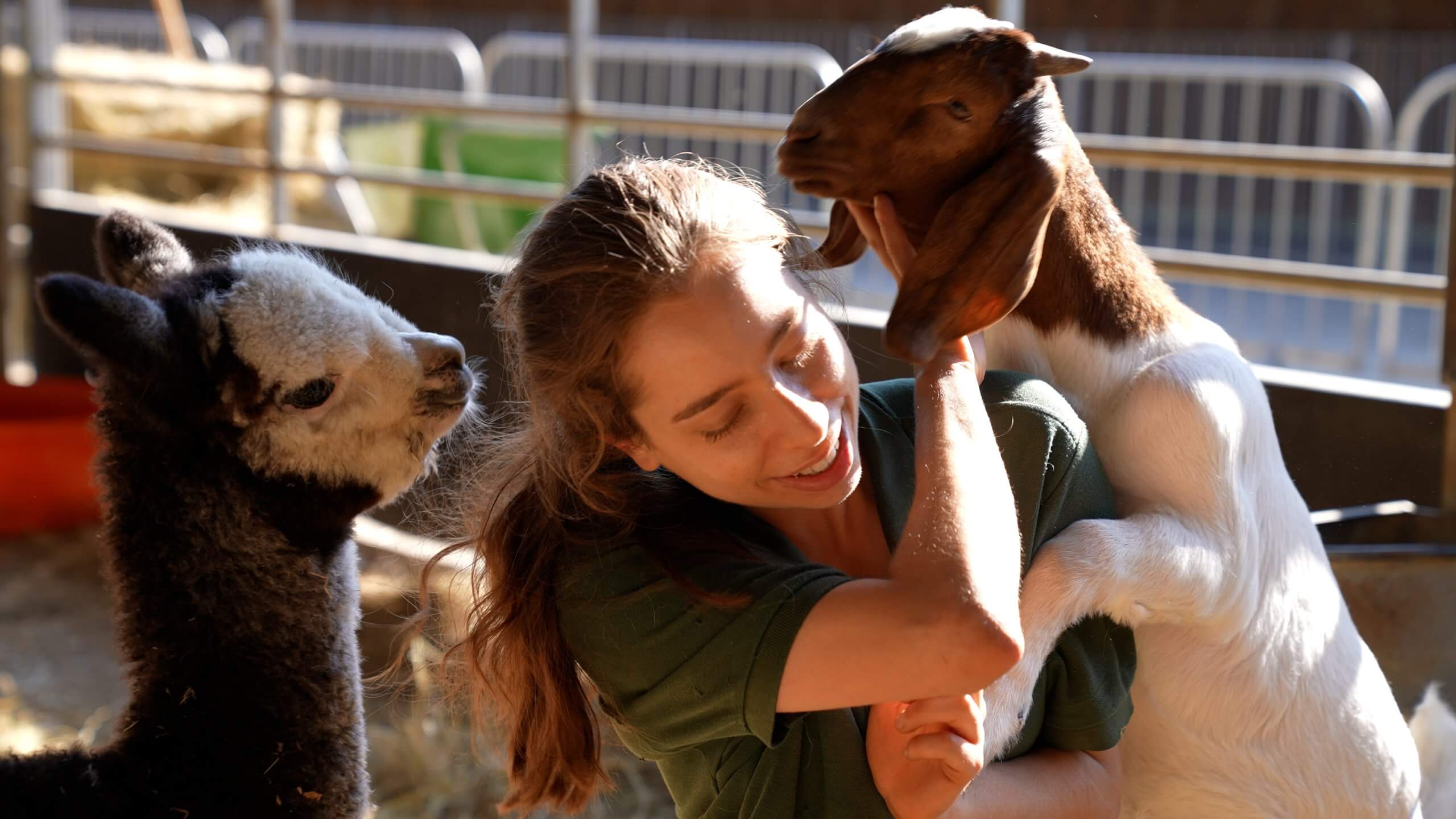 Checking in on Rob and Annie | Cannon Hall Farm