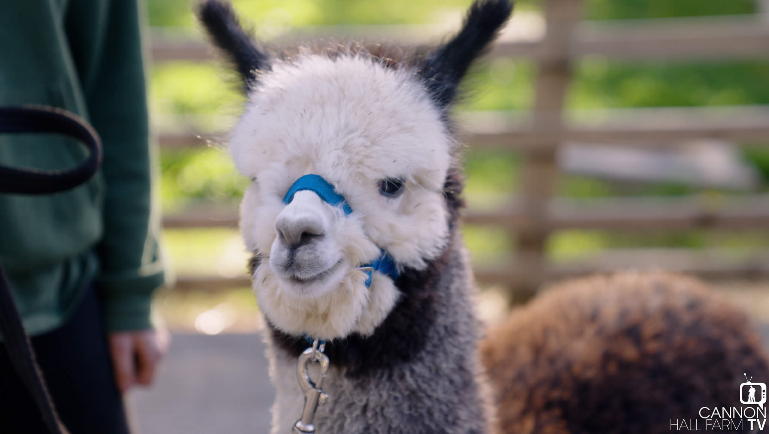 Farmer Kate and Rob | Cannon Hall Farm