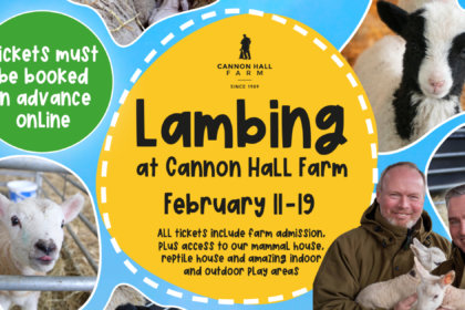 Cannon Hall Farm | The Perfect Family Day Out in Yorkshire