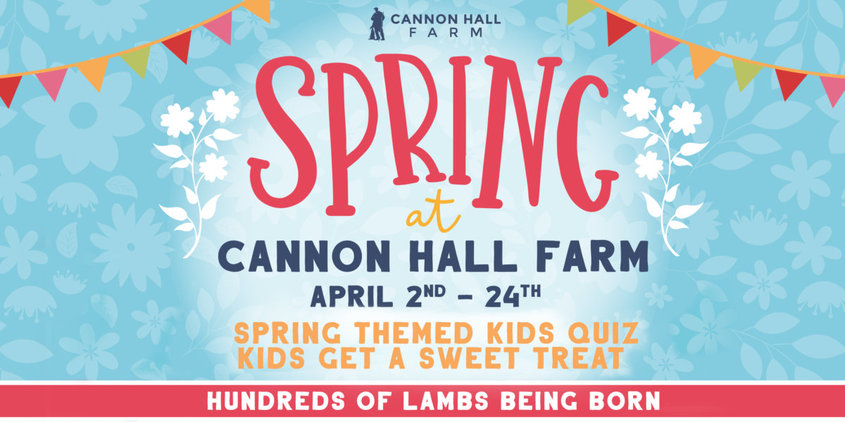 Cannon Hall Farm | The Perfect Family Day Out in Yorkshire
