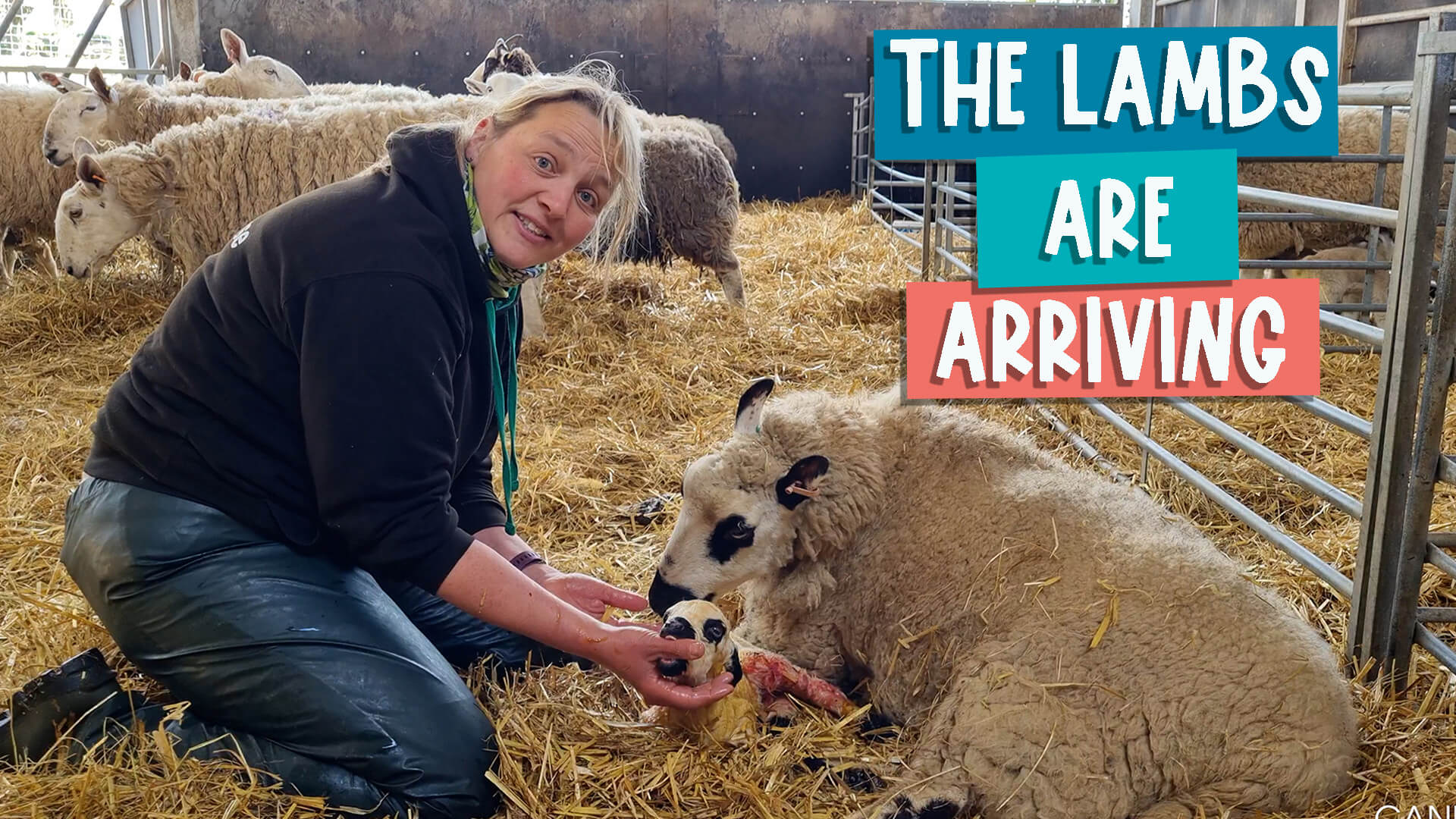 Farmer Ruth Delivers! | Cannon Hall Farm