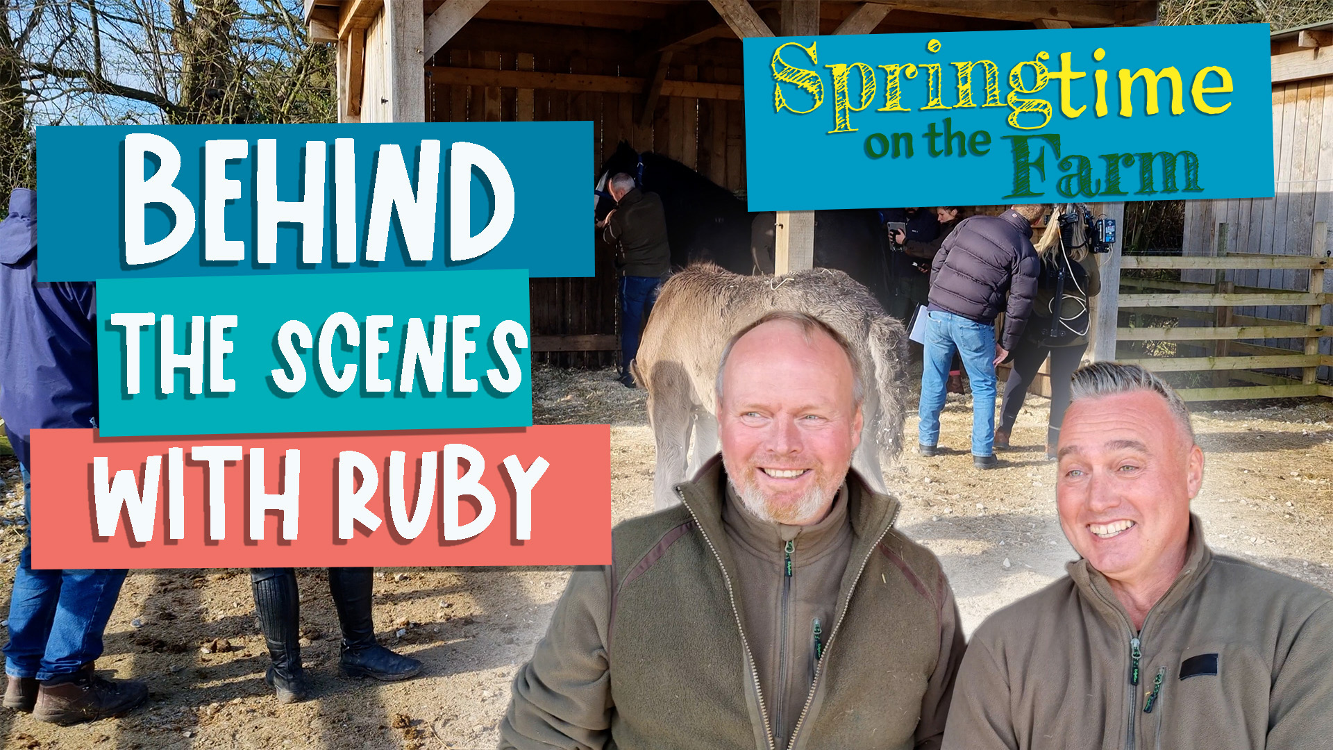 Springtime behind the scenes: Ruby | Cannon Hall Farm