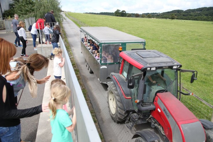 Cannon Hall Farm | The Perfect Family Day Out in Yorkshire