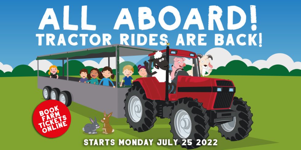 Cannon Hall Farm | The Perfect Family Day Out in Yorkshire