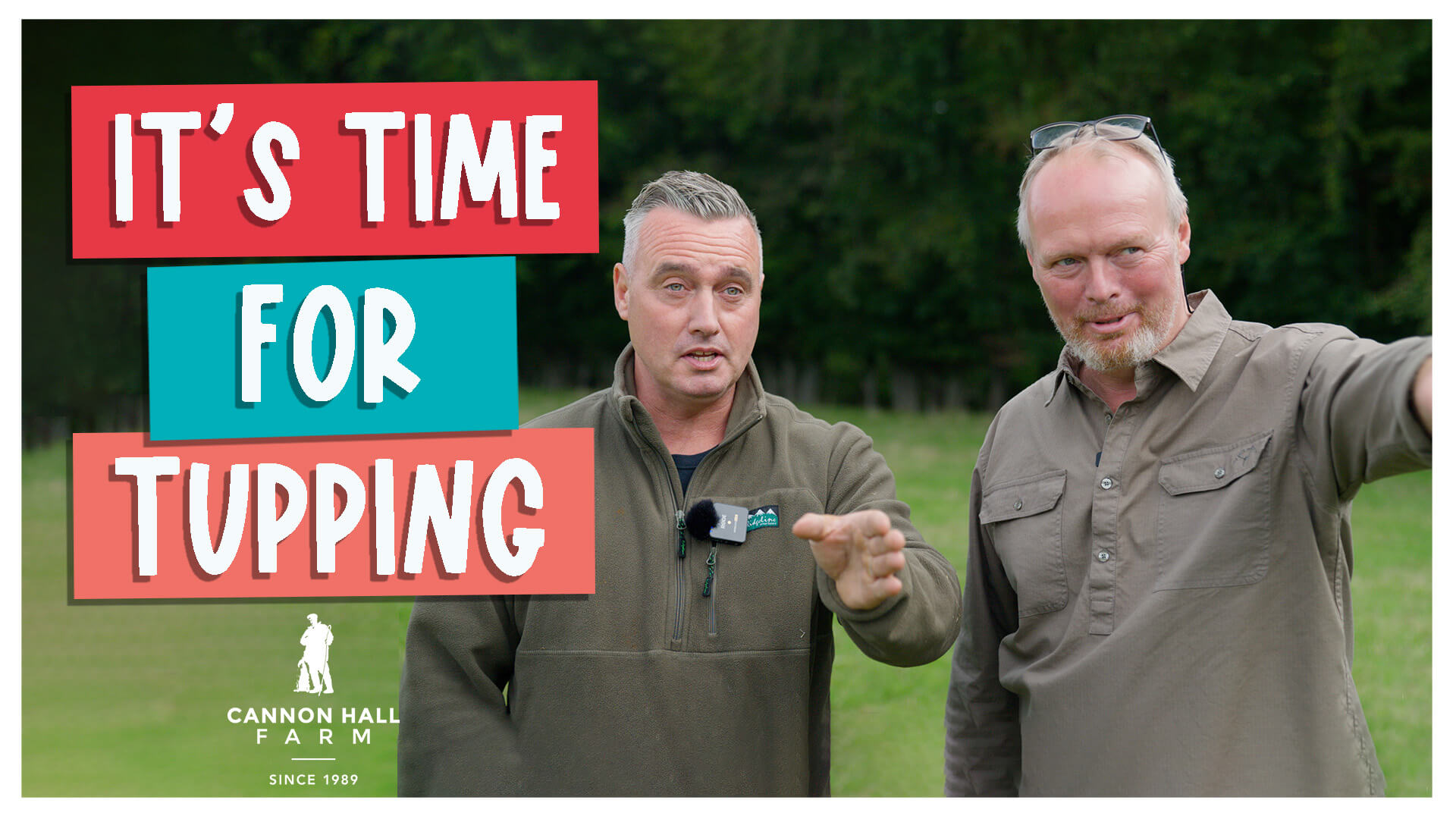 Ken Baa-low the Teaser Tup! | Cannon Hall Farm