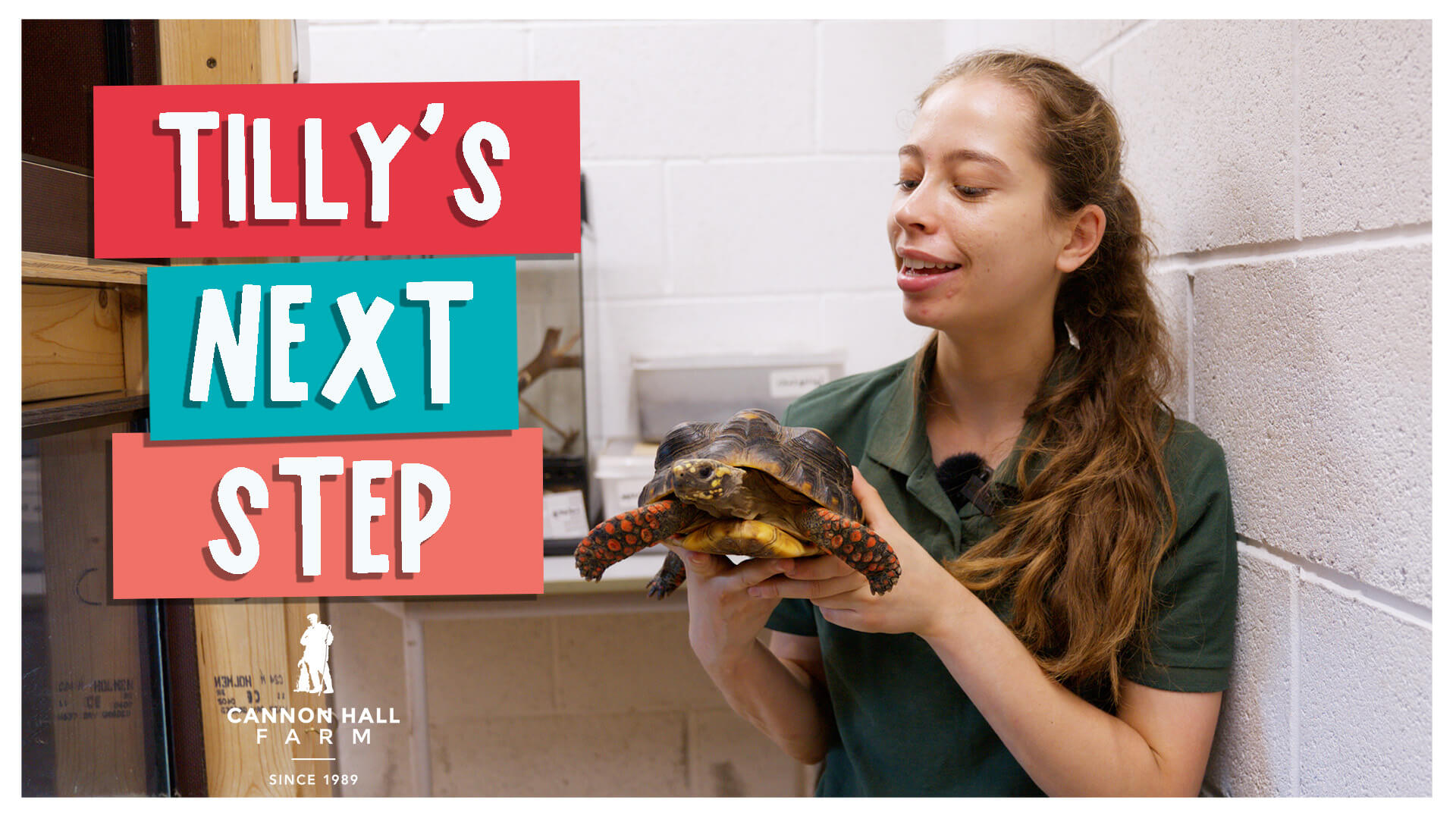 Checking in on Tilly | Cannon Hall Farm