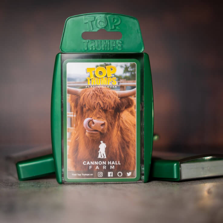 Official Top Trumps Launch! | Cannon Hall Farm