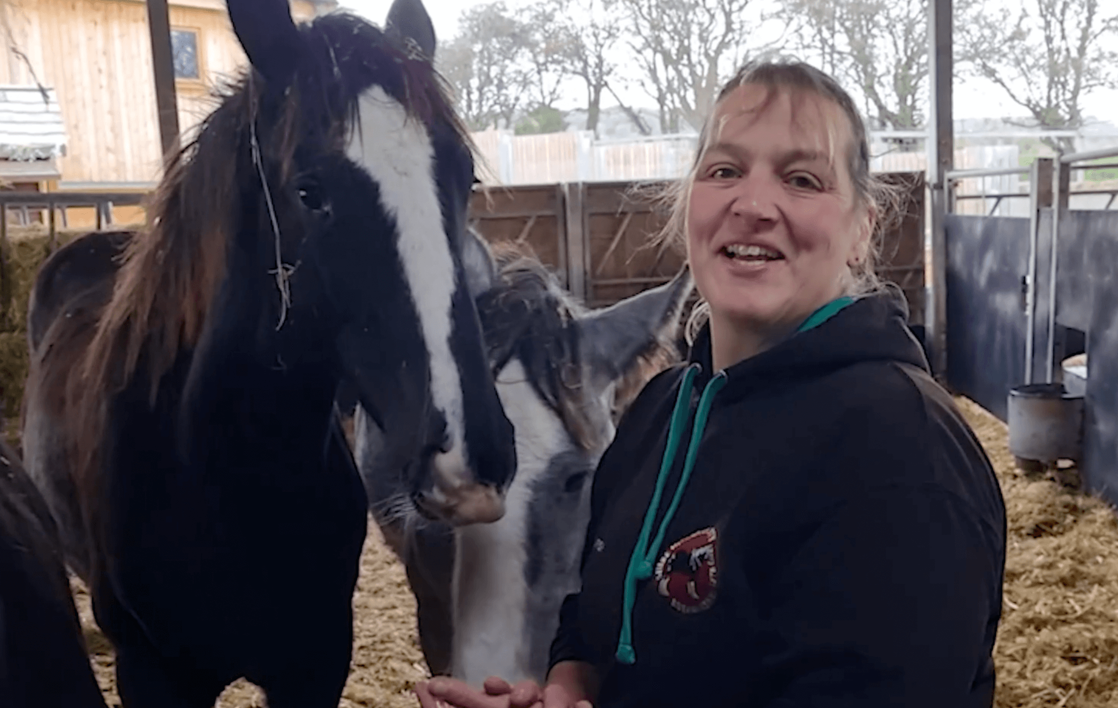 Rosie, Elliott and Herkules | Cannon Hall Farm