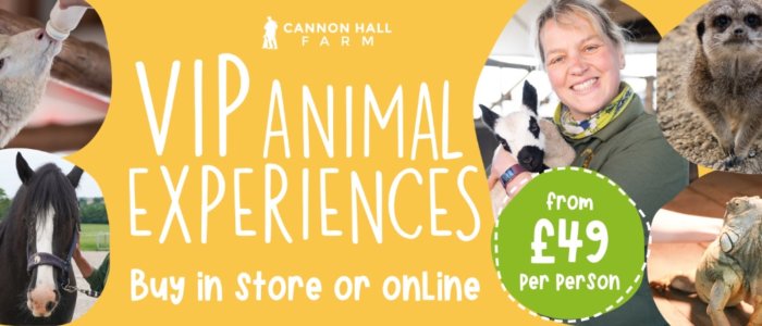 Cannon Hall Farm | The Perfect Family Day Out in Yorkshire