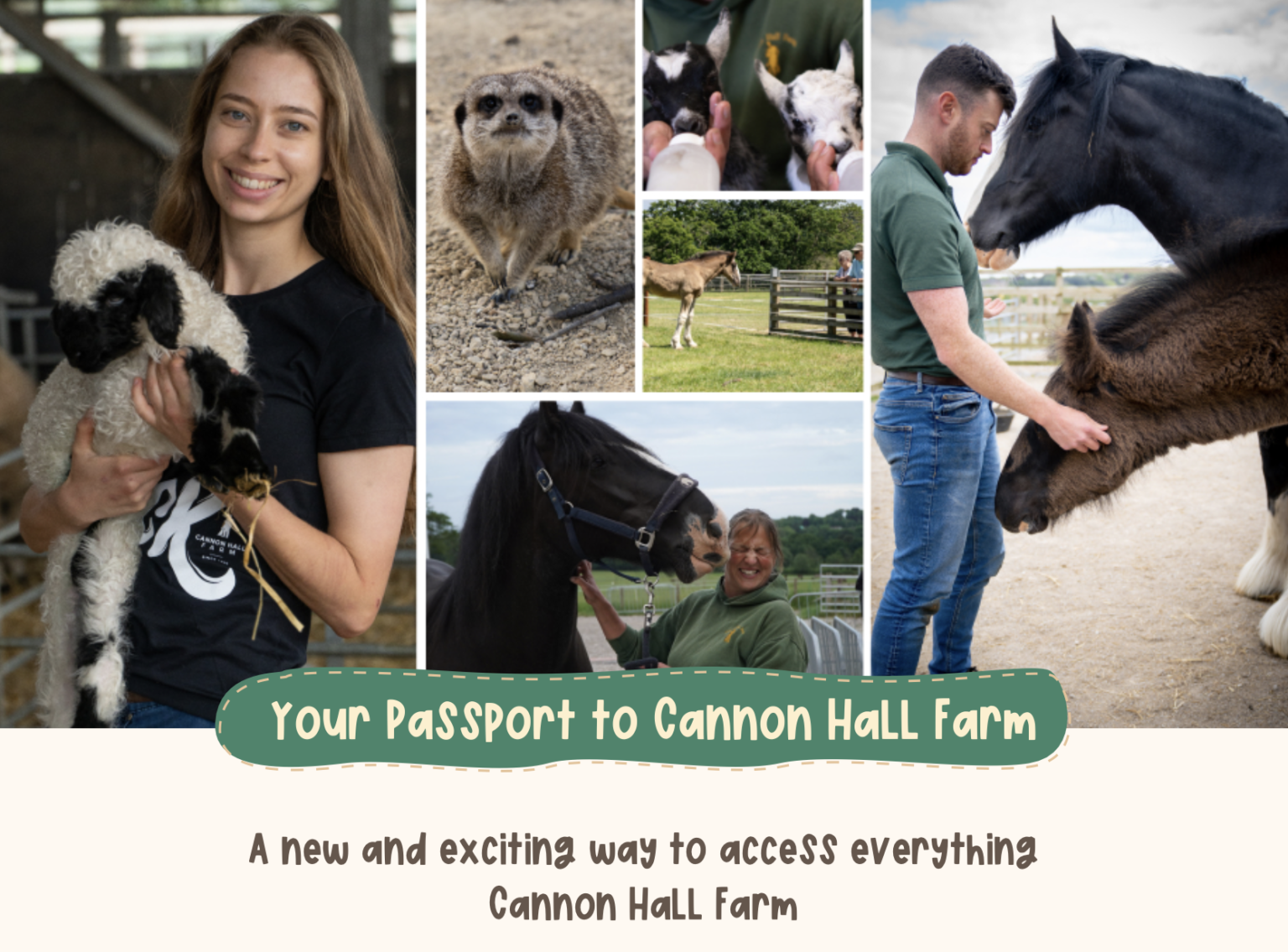 Sign up now: Cannon Hall Farm Passport! | Cannon Hall Farm