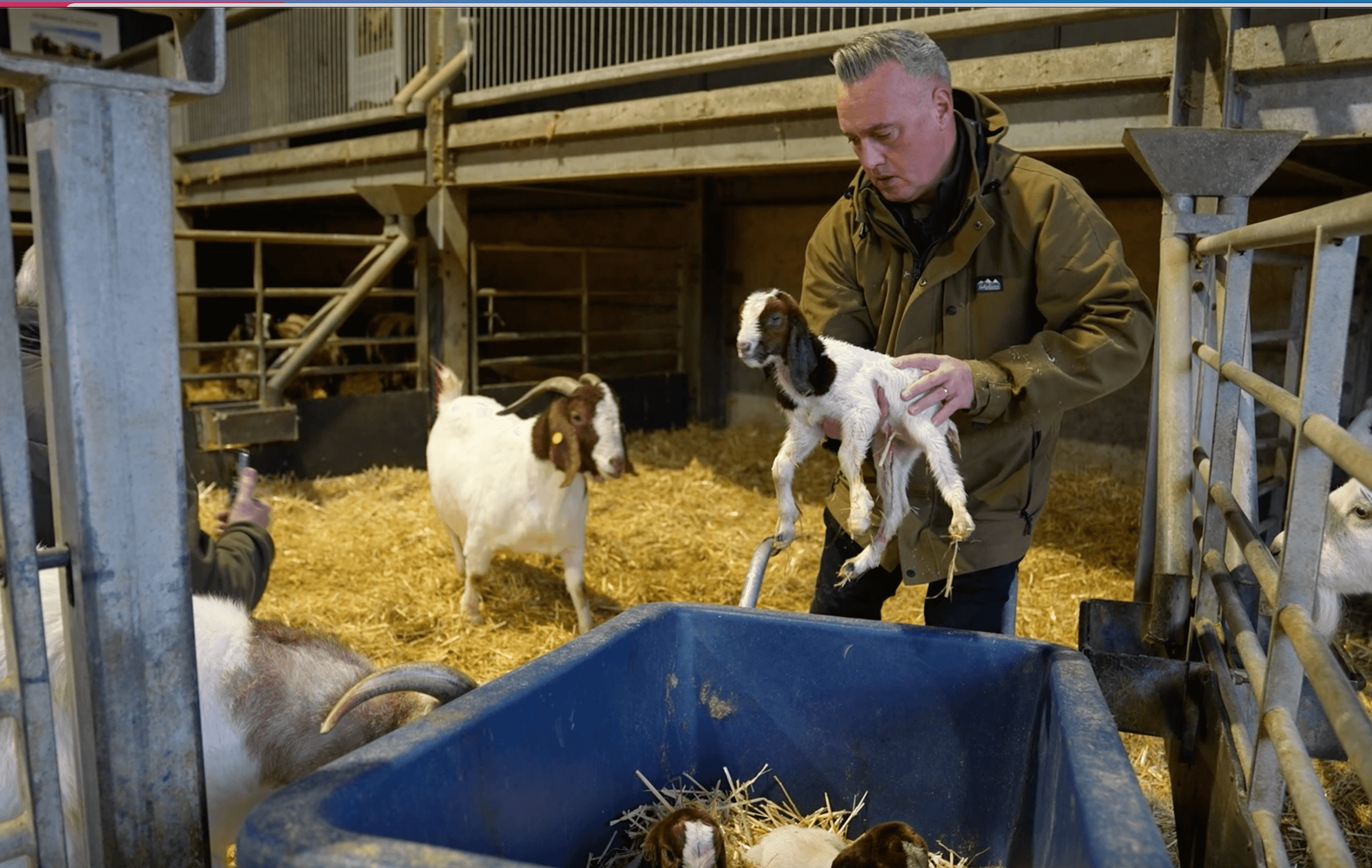 Triplet Boer Goats | Cannon Hall Farm