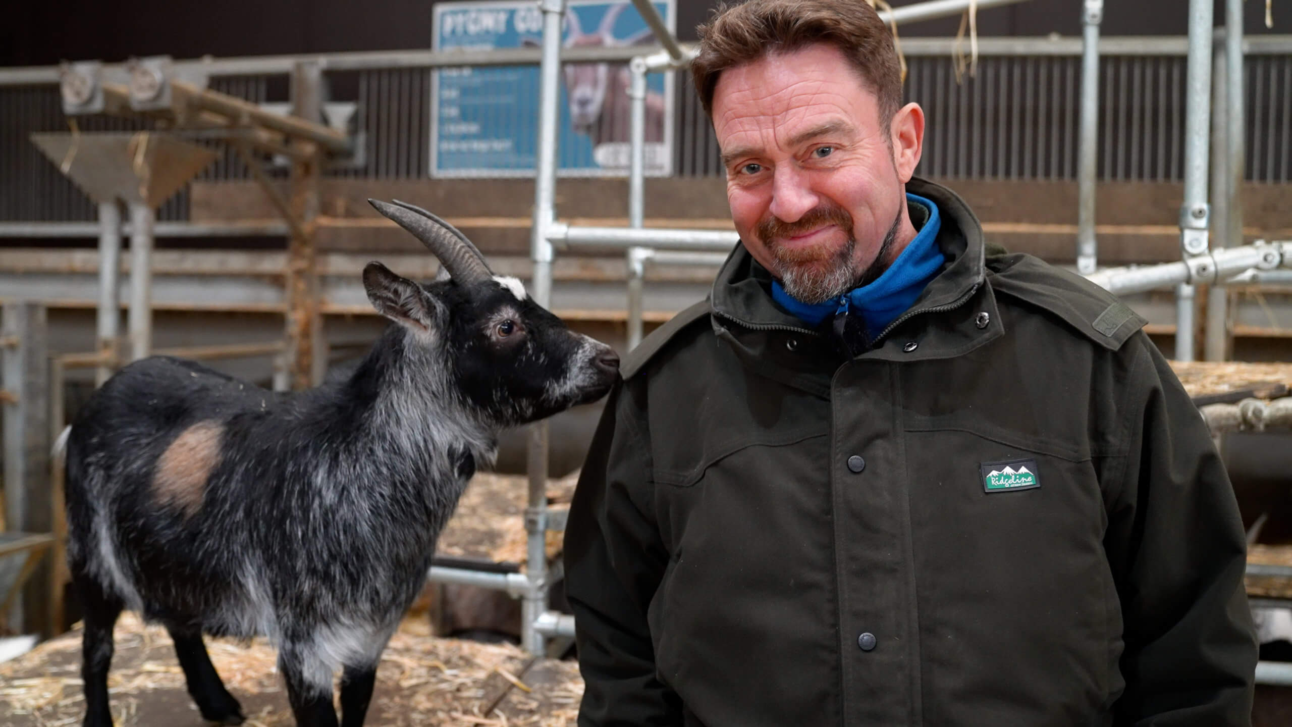 It’s Kidding Time! | Cannon Hall Farm