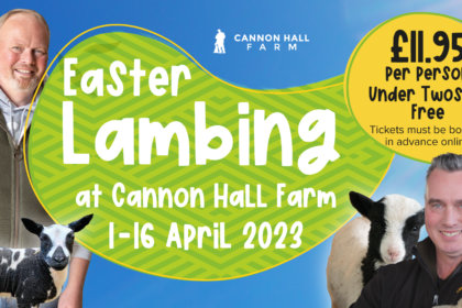 Cannon Hall Farm | The Perfect Family Day Out in Yorkshire