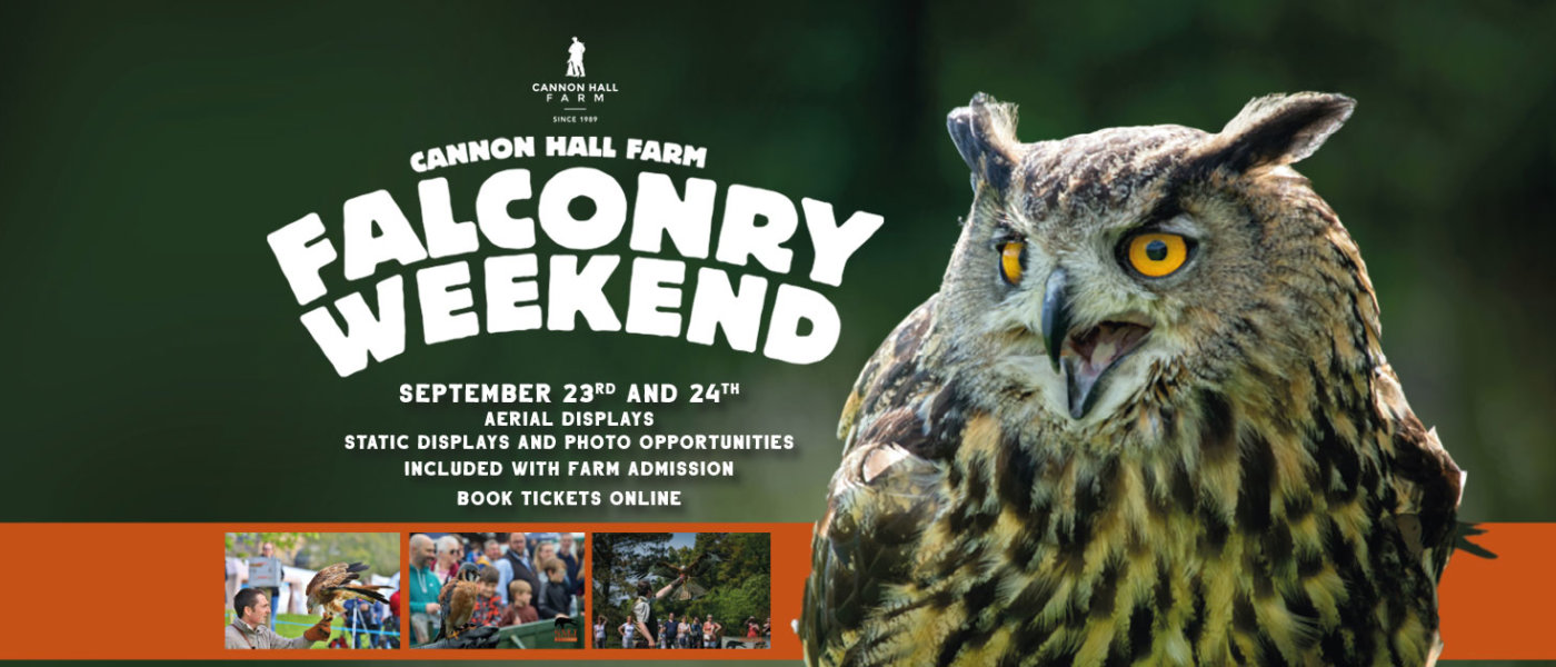 Cannon Hall Farm | The Perfect Family Day Out in Yorkshire