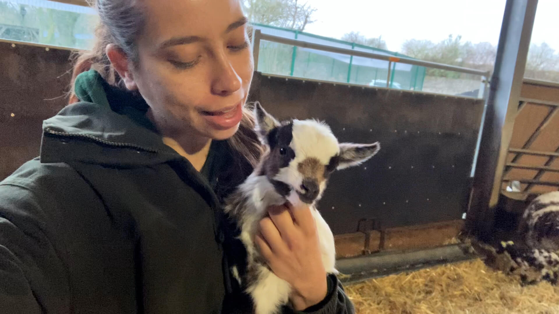 Farmer Kate’s new pals | Cannon Hall Farm