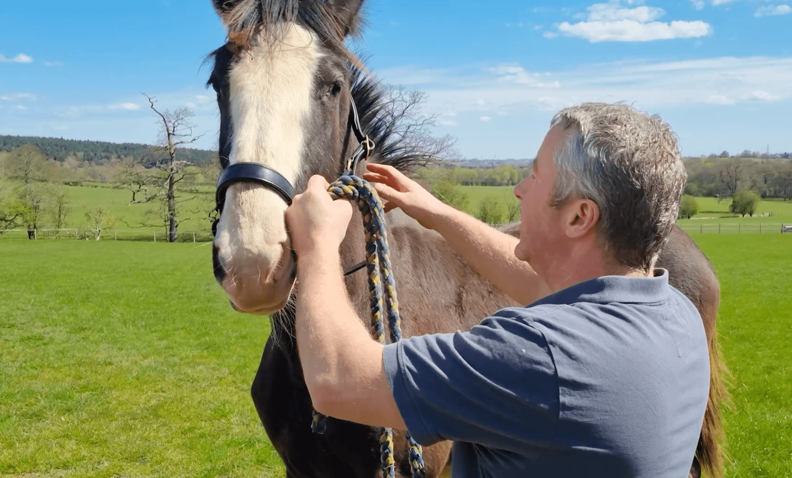 The Shires Have a Run! | Cannon Hall Farm