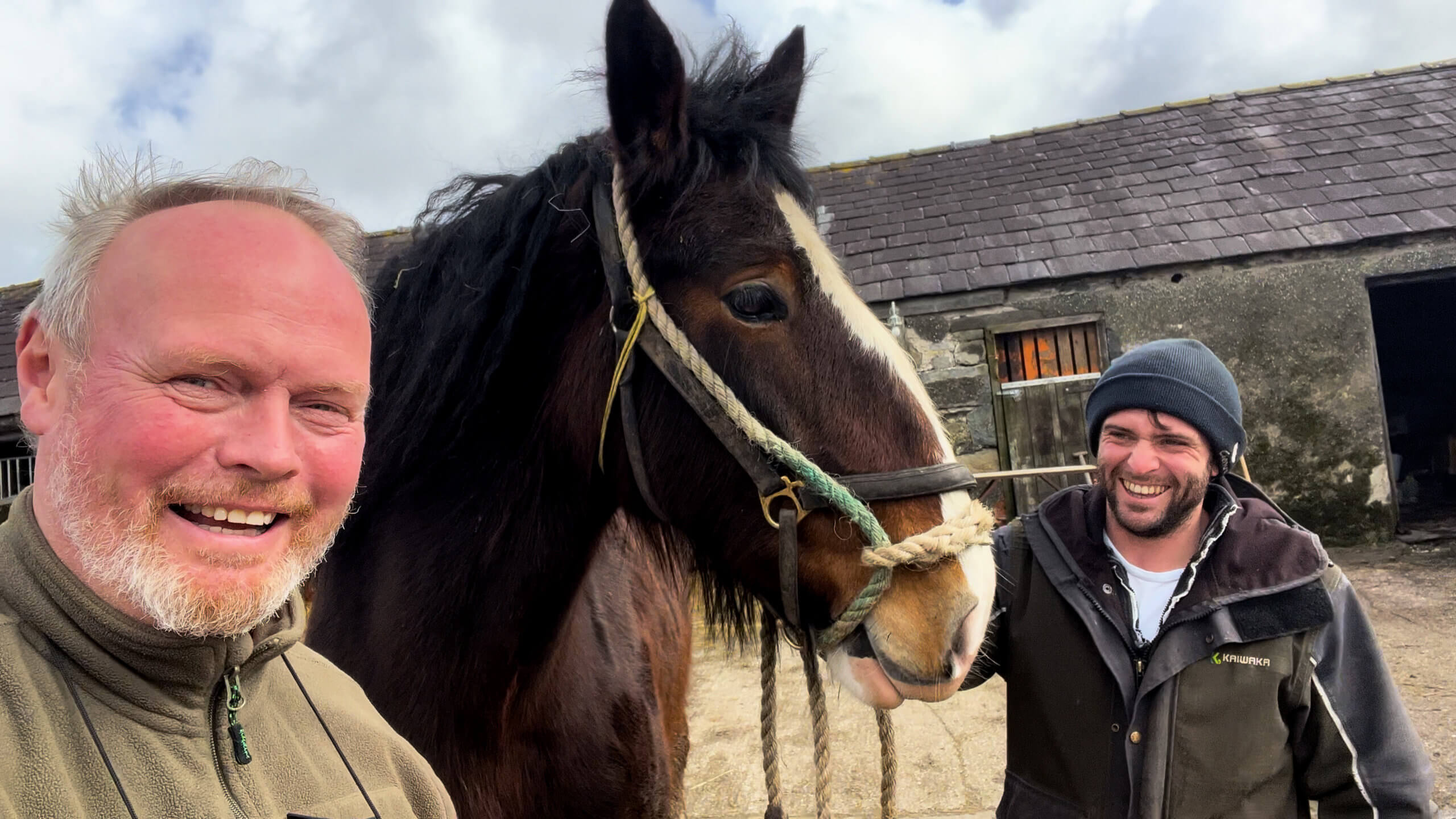 Blossom comes home! | Cannon Hall Farm