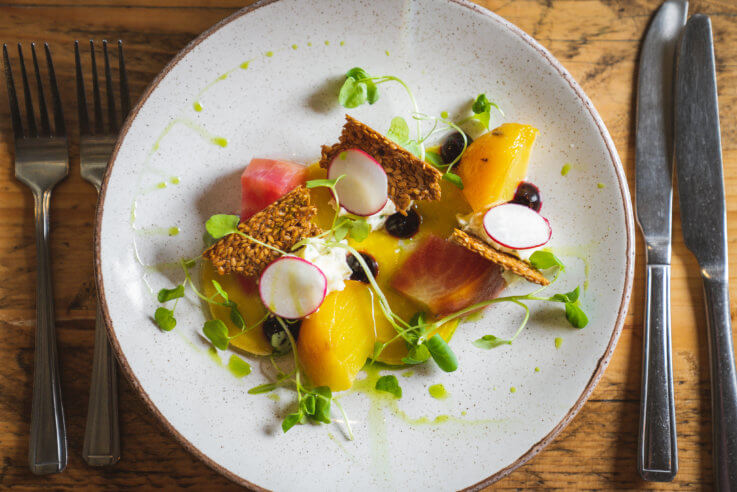 News | Cannon Hall Farm