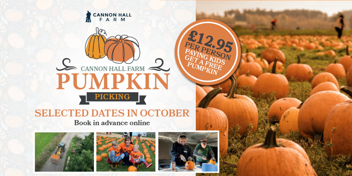 Cannon Hall Farm | The Perfect Family Day Out in Yorkshire