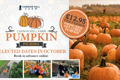 Cannon Hall Farm | The Perfect Family Day Out in Yorkshire