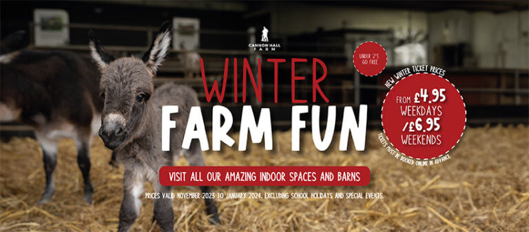 Cannon Hall Farm | The Perfect Family Day Out in Yorkshire