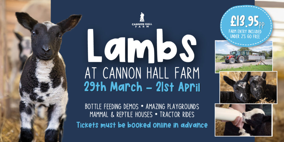 Cannon Hall Farm | The Perfect Family Day Out in Yorkshire