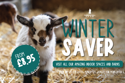 Cannon Hall Farm | The Perfect Family Day Out in Yorkshire