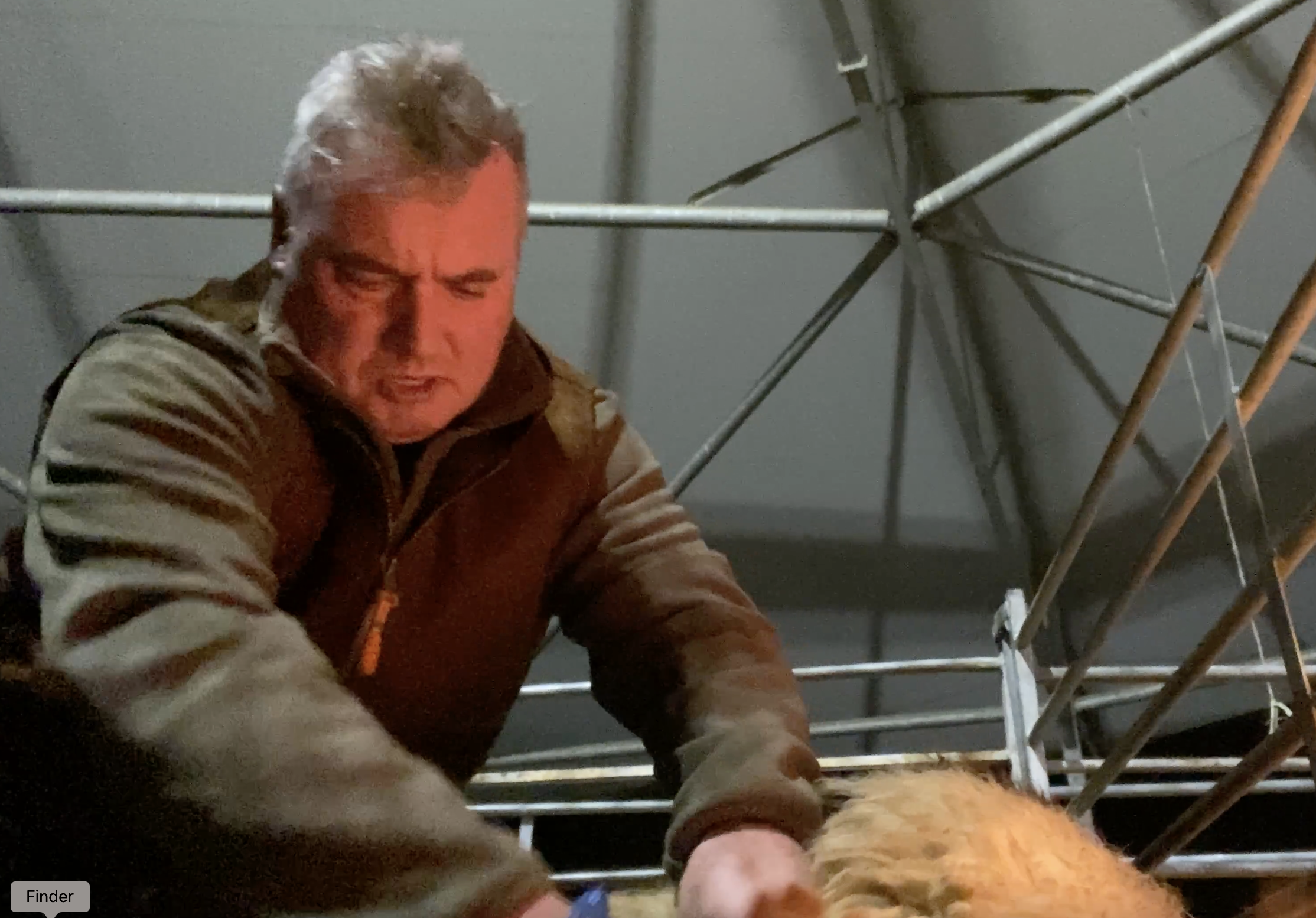 Lambing night shift | Cannon Hall Farm