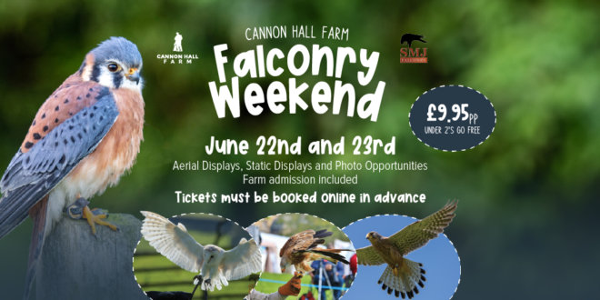 Cannon Hall Farm | The Perfect Family Day Out in Yorkshire