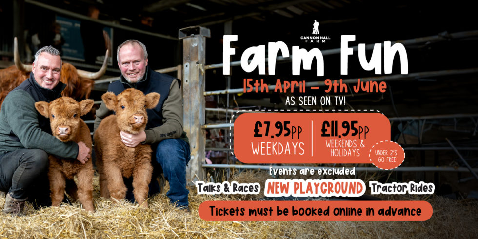 Cannon Hall Farm | The Perfect Family Day Out in Yorkshire