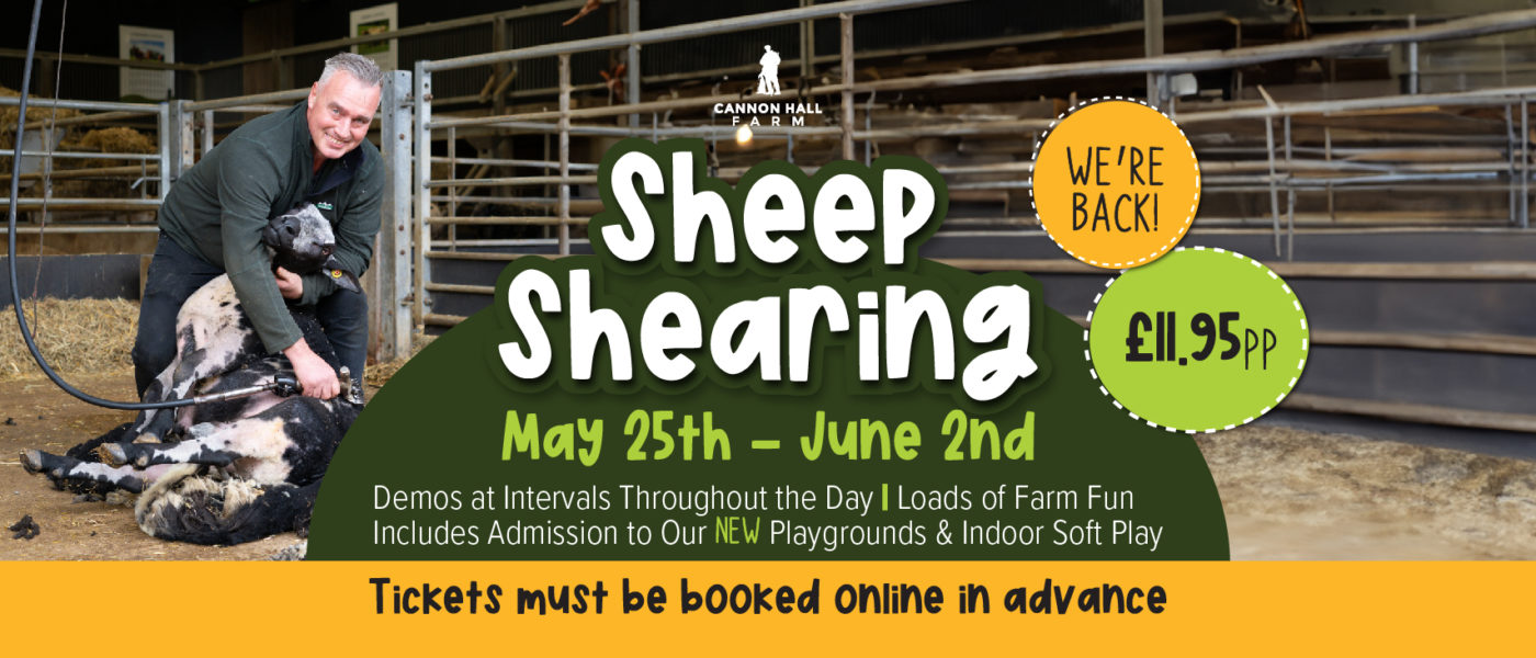 Cannon Hall Farm | The Perfect Family Day Out in Yorkshire