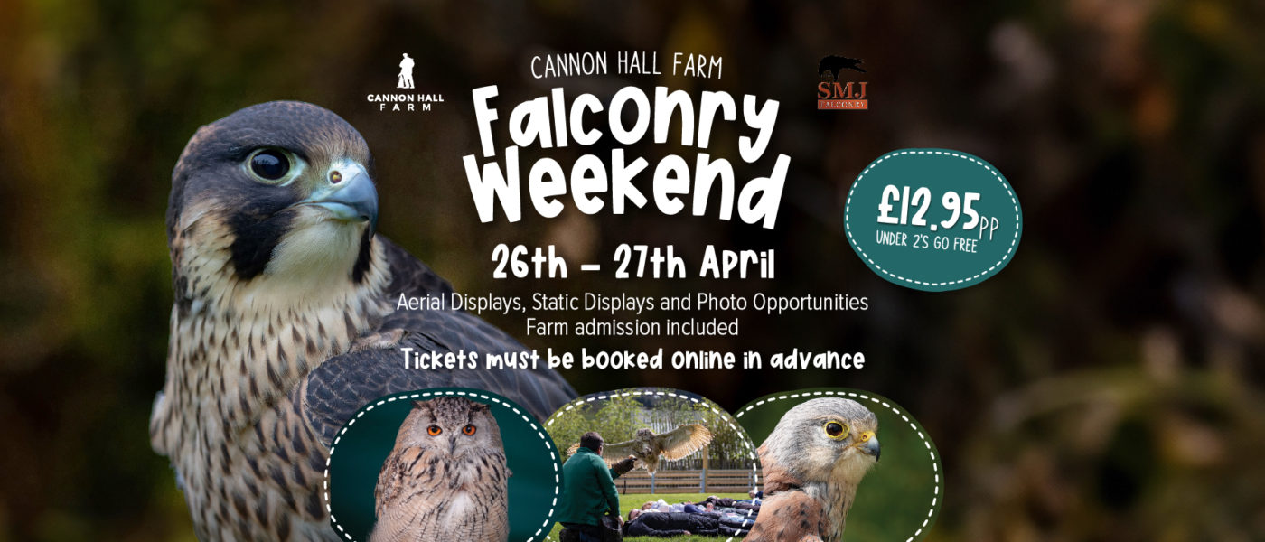 Cannon Hall Farm | The Perfect Family Day Out in Yorkshire