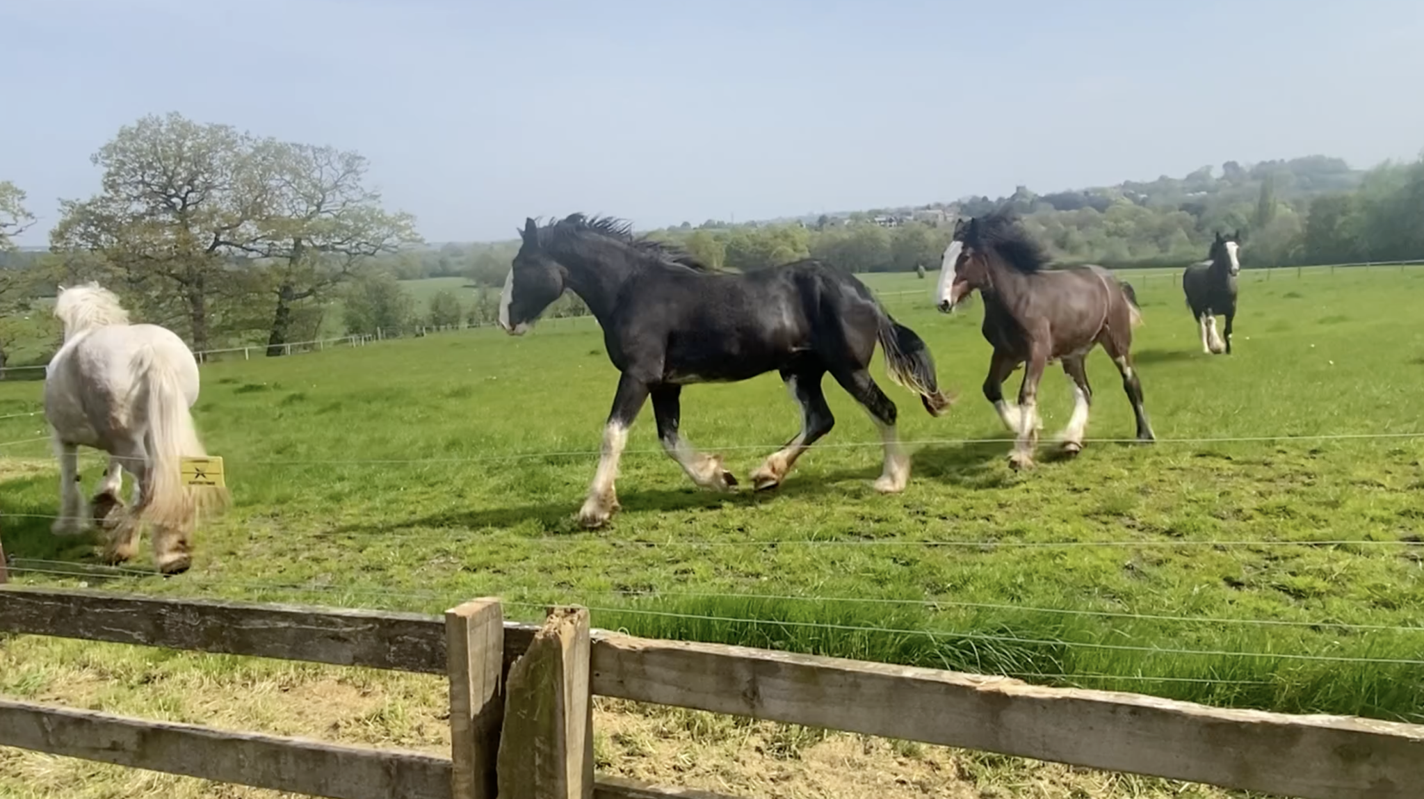 The Shires Go Out! | Cannon Hall Farm